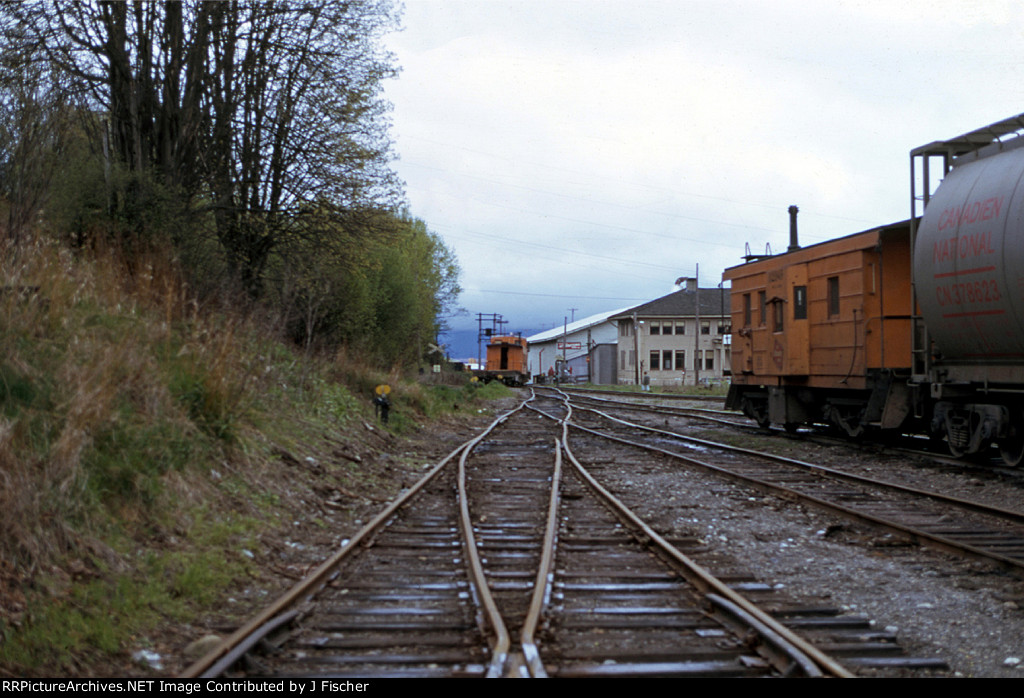 Bellingham yard looking south