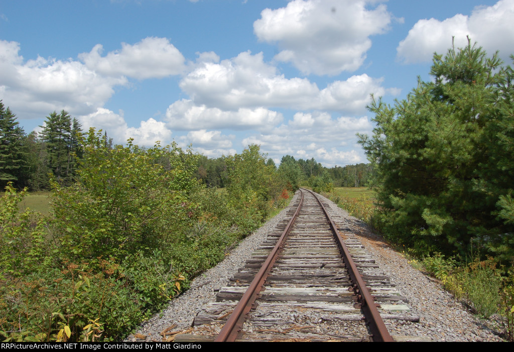 Untitled [www.rrpicturearchives.net]