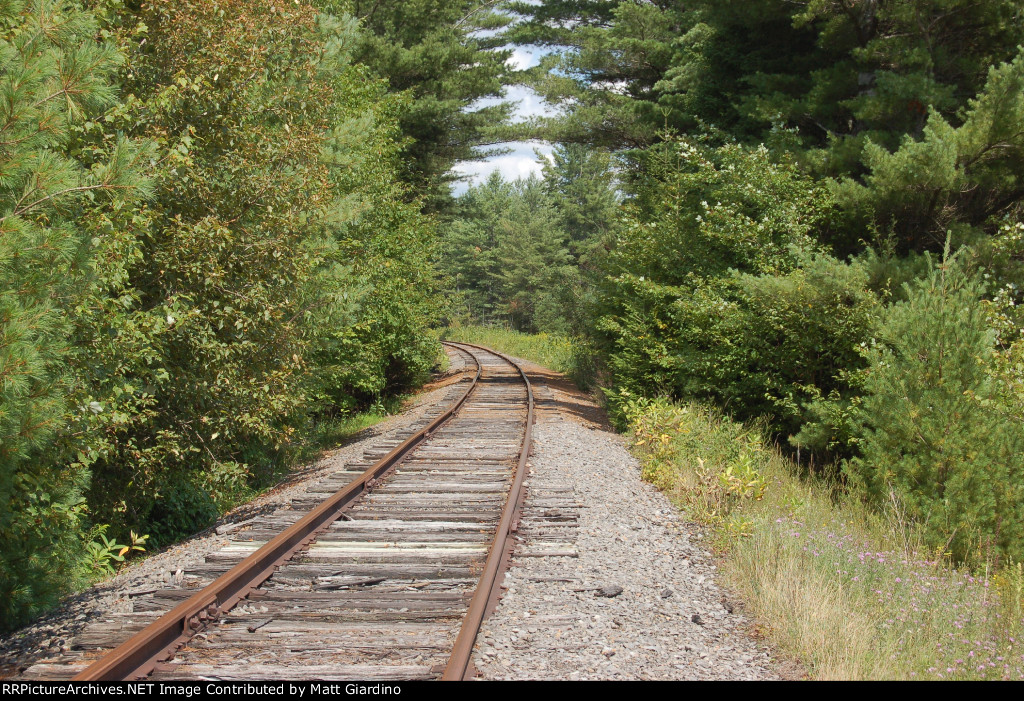 Untitled [www.rrpicturearchives.net]