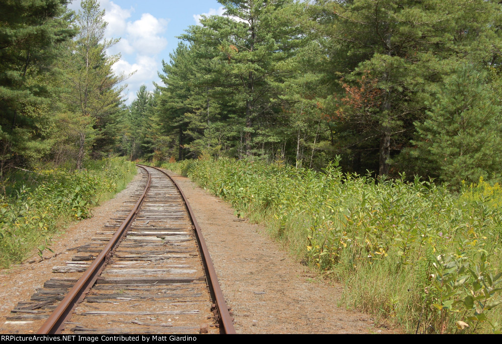 Untitled [www.rrpicturearchives.net]