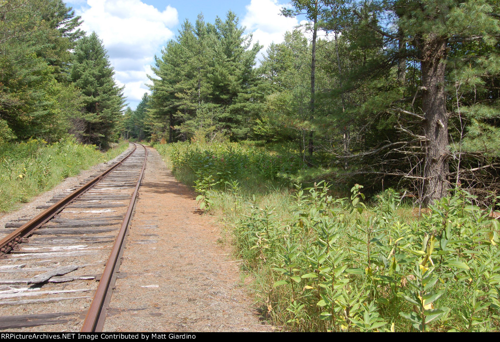 Untitled [www.rrpicturearchives.net]