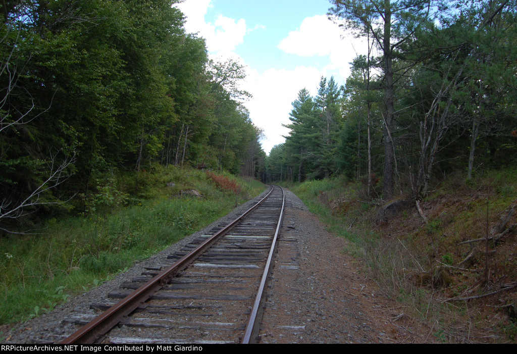 Untitled [www.rrpicturearchives.net]