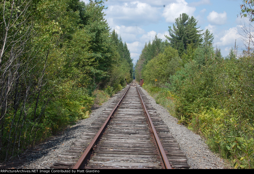 Untitled [www.rrpicturearchives.net]