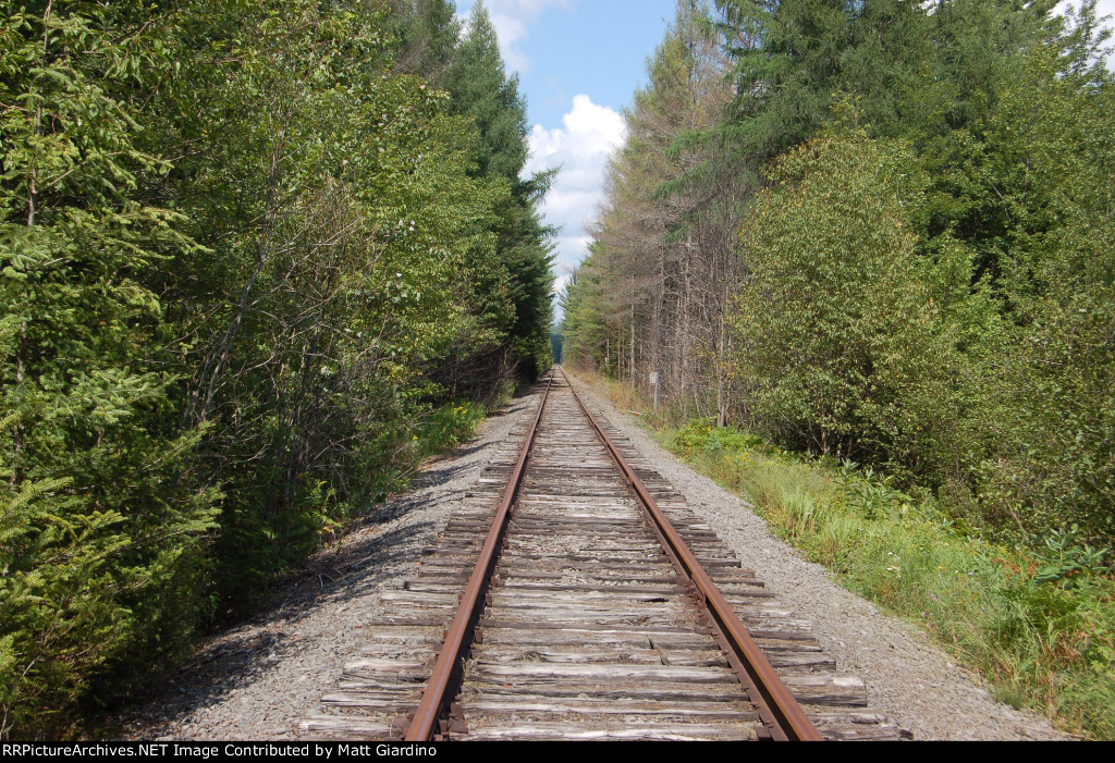 Untitled [www.rrpicturearchives.net]