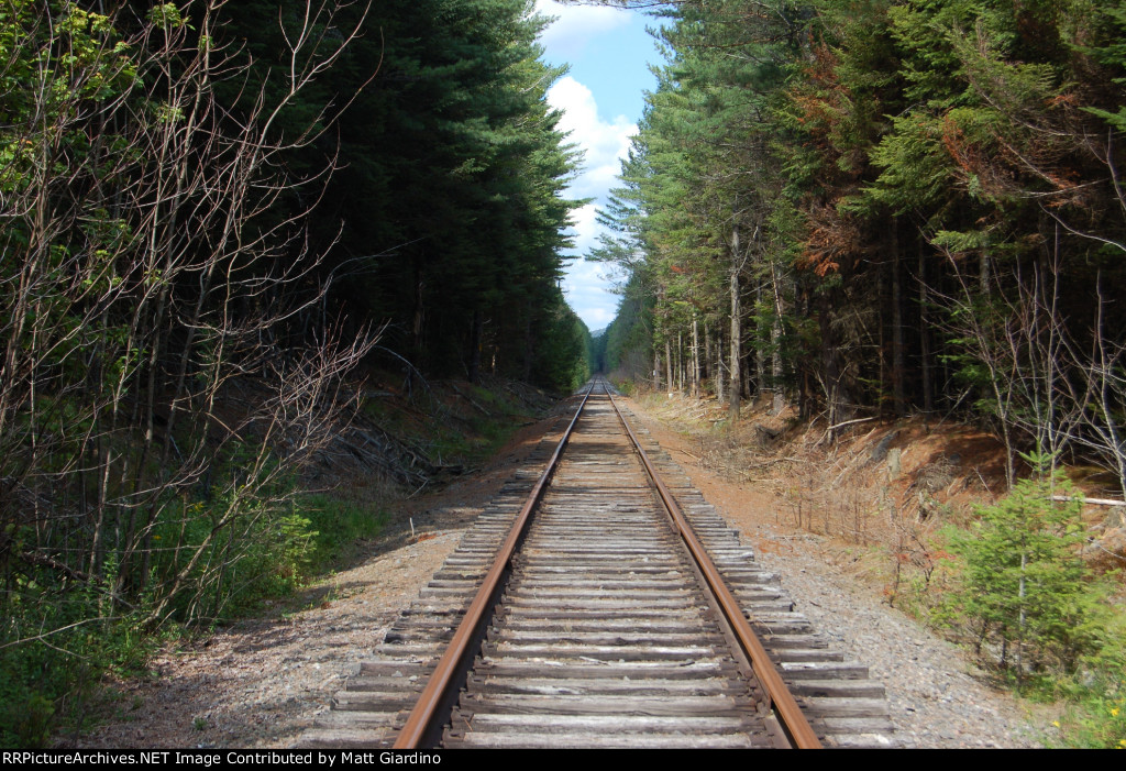 Untitled [www.rrpicturearchives.net]