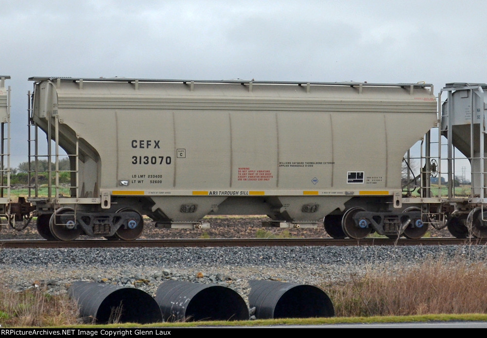 CEFX 313070