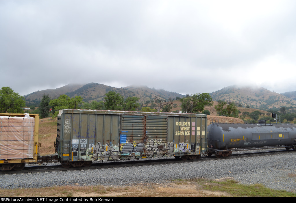 SP 228980