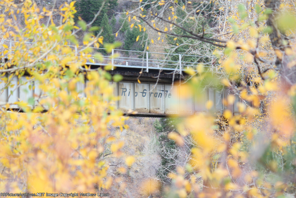 The Rio Grande logo through some trees