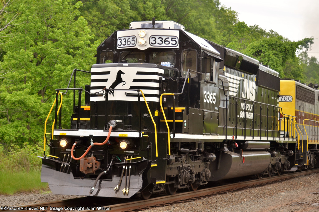 NS 3365