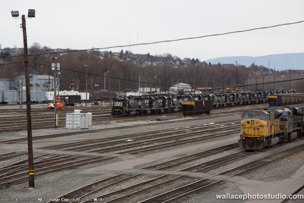 Untitled [www.rrpicturearchives.net]