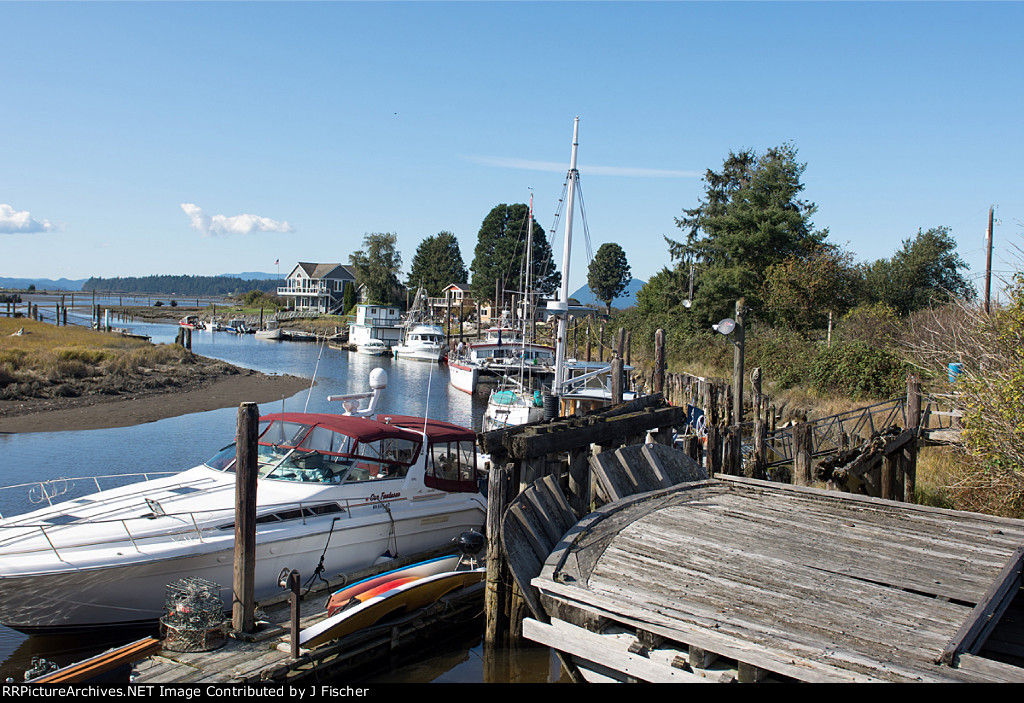 Samish River delta in the afternoon
