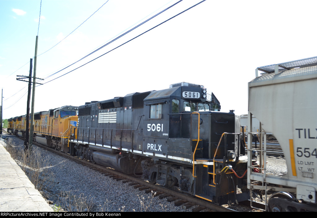 PRLX 5061