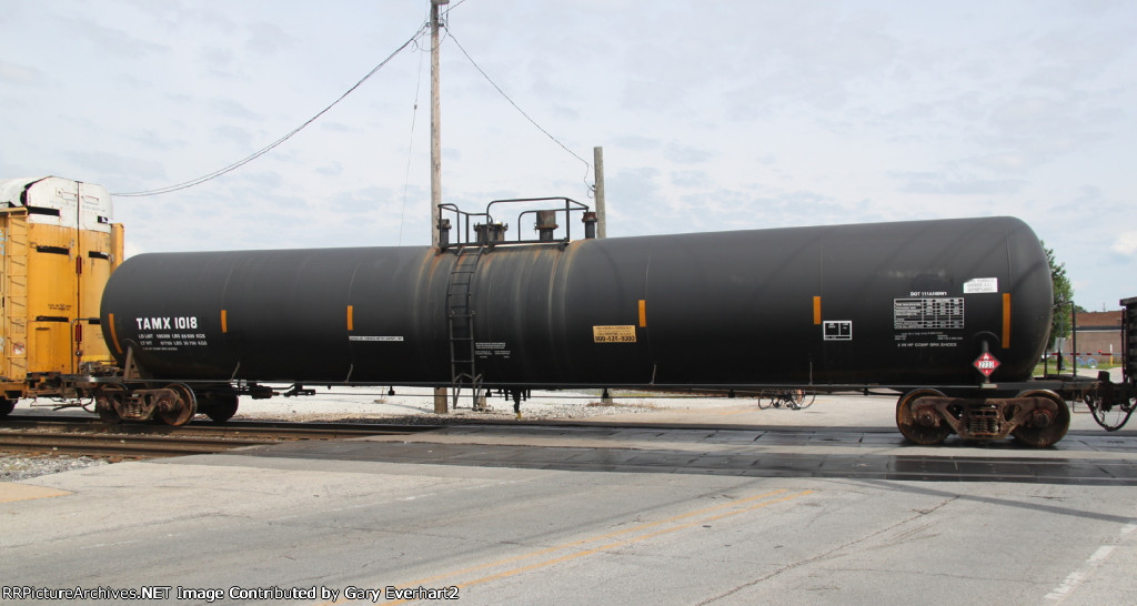 TAMX 1018 - Taminco Methylamines