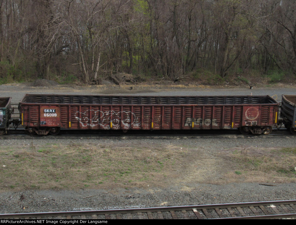 SKRX 65009