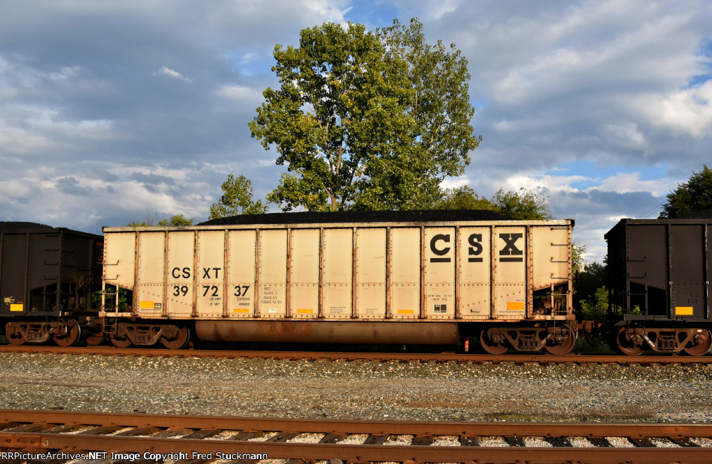 Most of the gons were black.