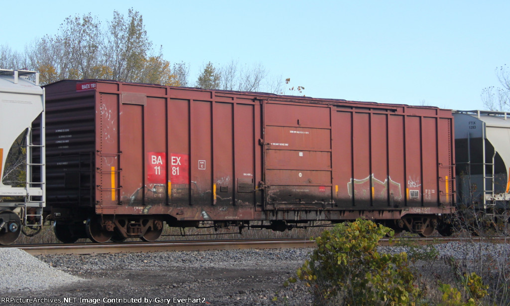 BAEX 1181 - The Andersons