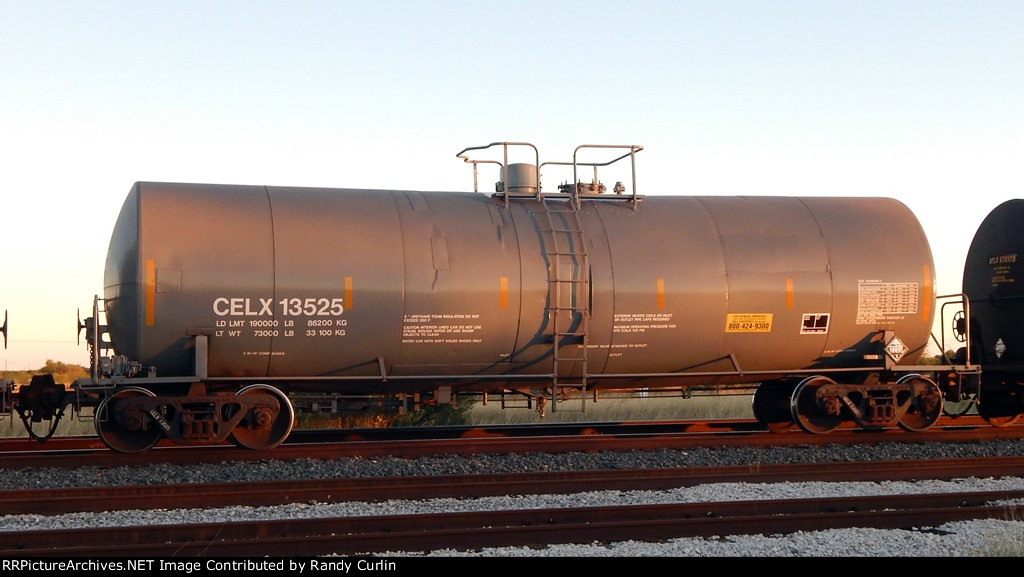 CELX 13525