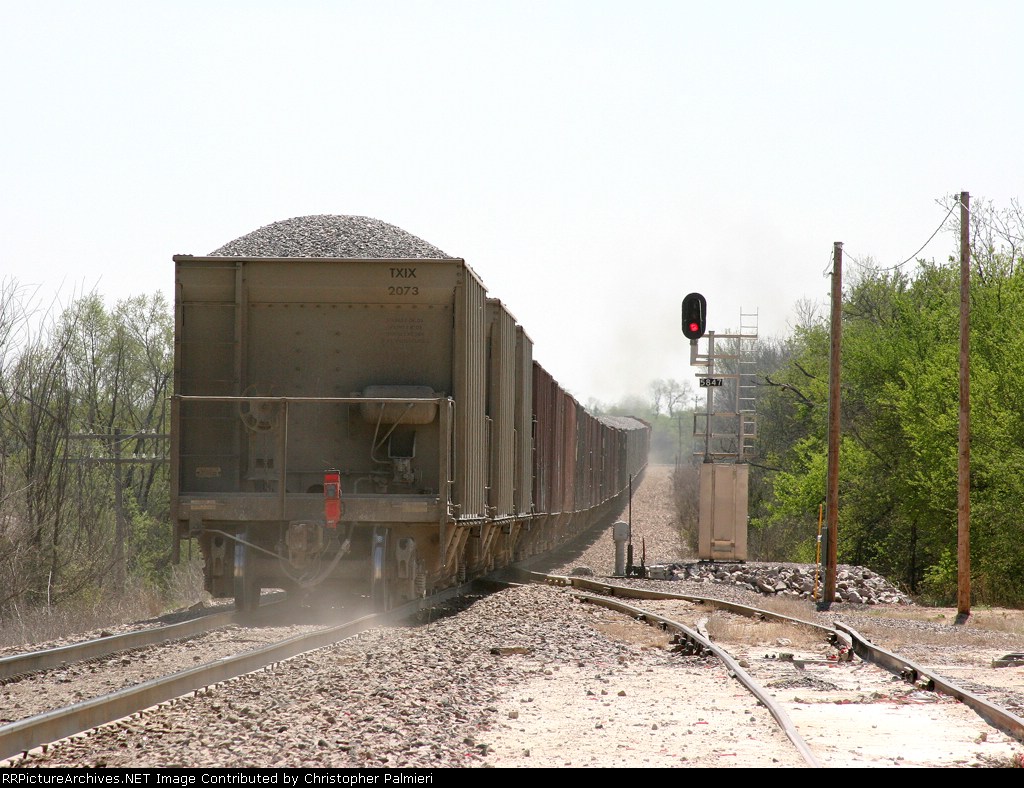 TXIX 2073