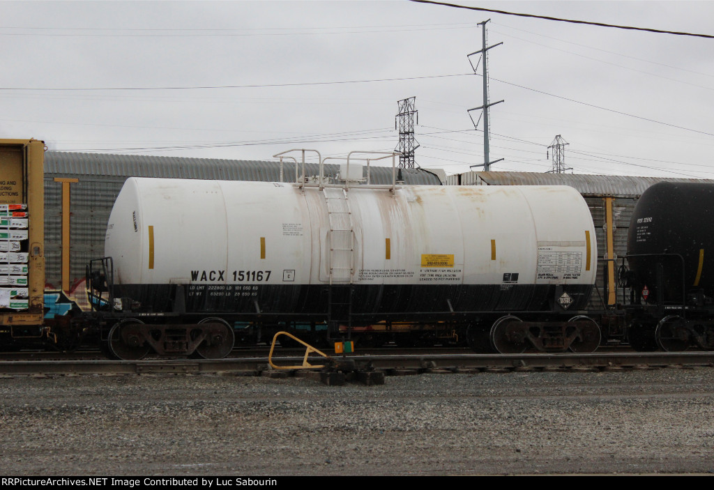 WACX 151167