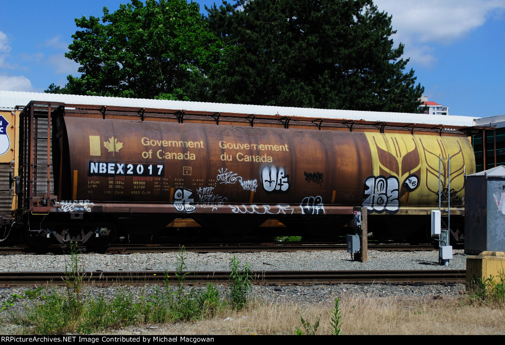 NBEX 2017 4550 cu ft Grain Hopper