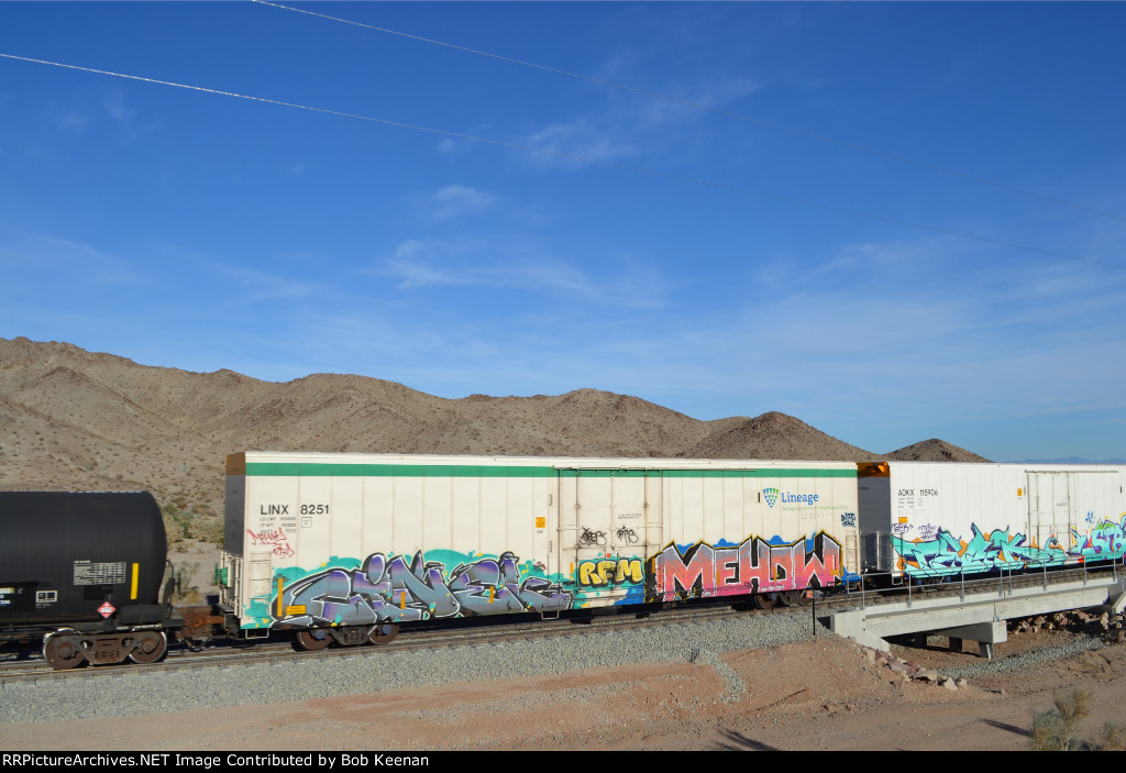 LINX 8251