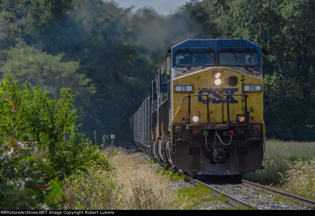 CSX 20 leads T161 on the Branch
