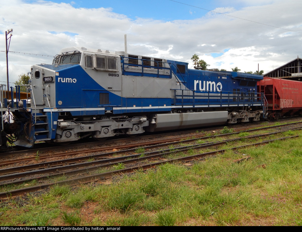 RUMO 9893