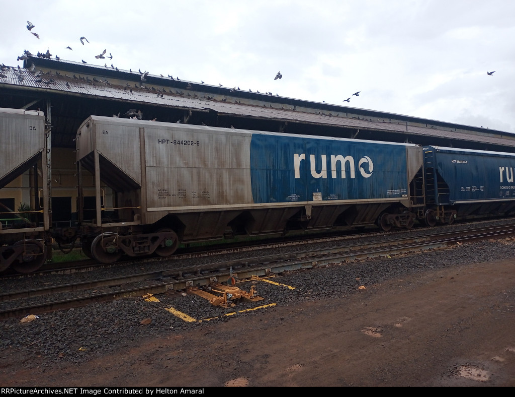 RUMO HPT-844202-9