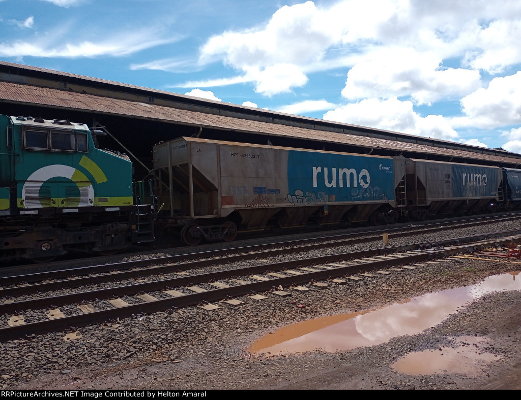 RUMO HPT-031332-7