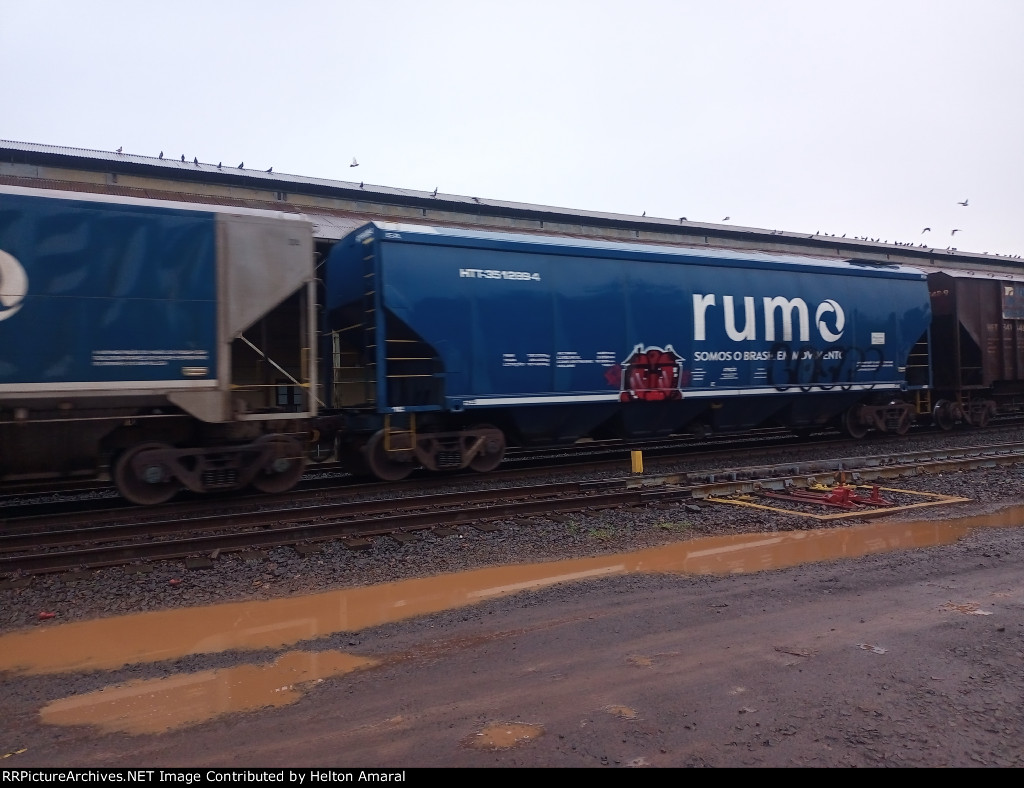 RUMO HTT-351289-4