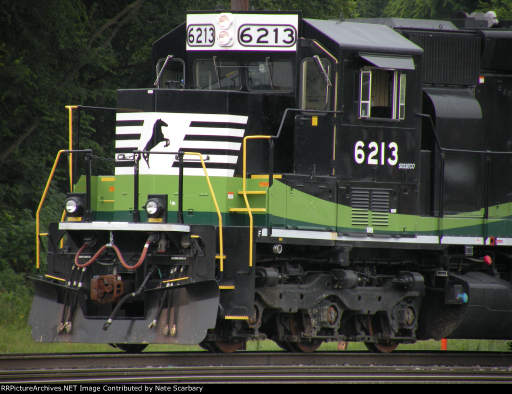 NS 6213 close-up hood shot