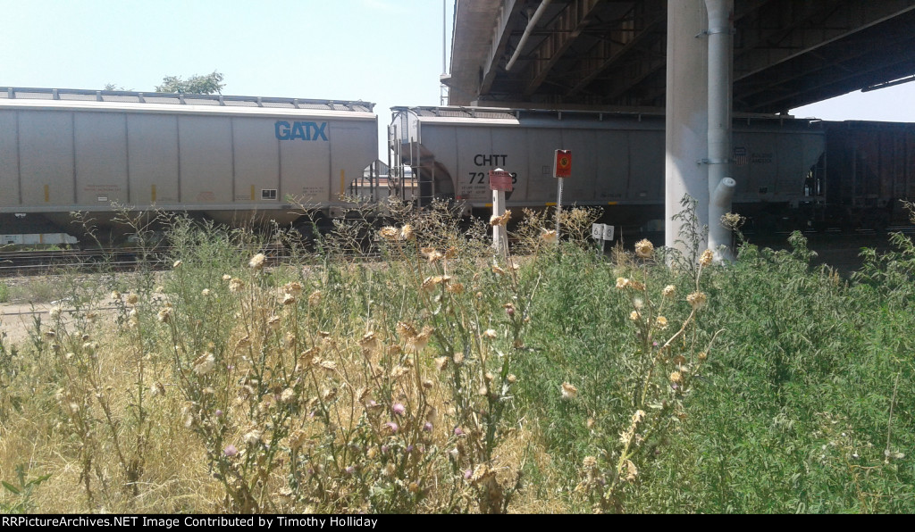 Untitled [www.rrpicturearchives.net]