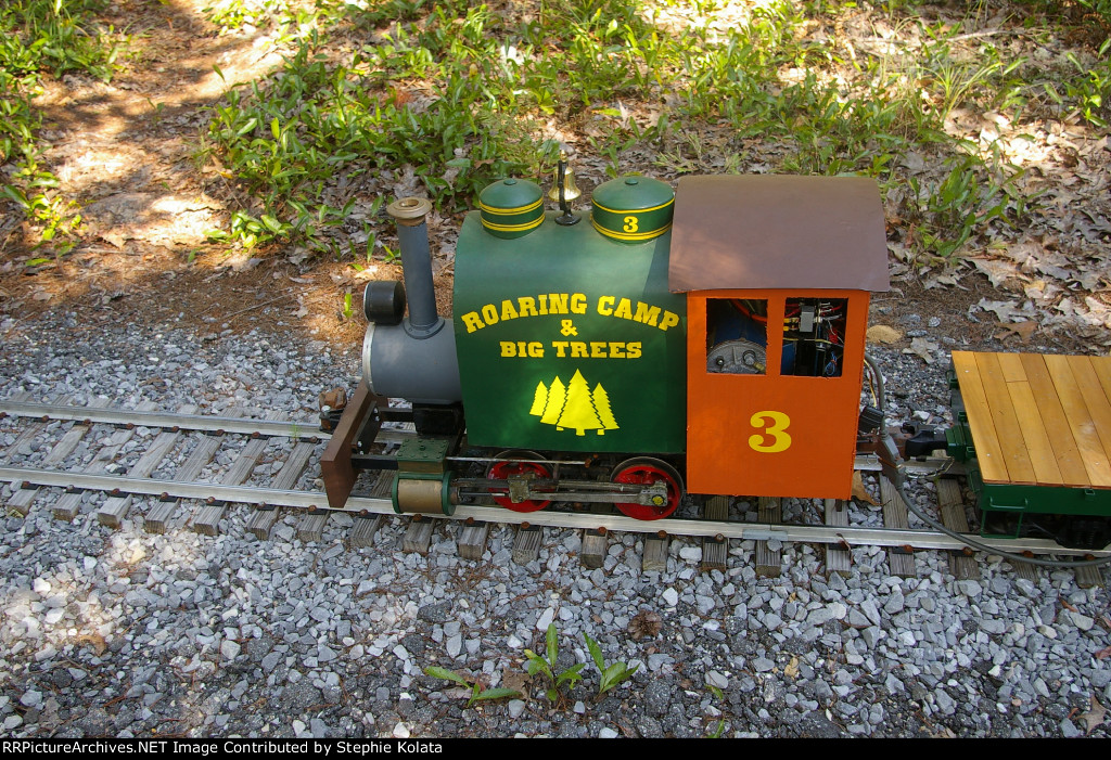 ROARING CAMP BIG TREES 3