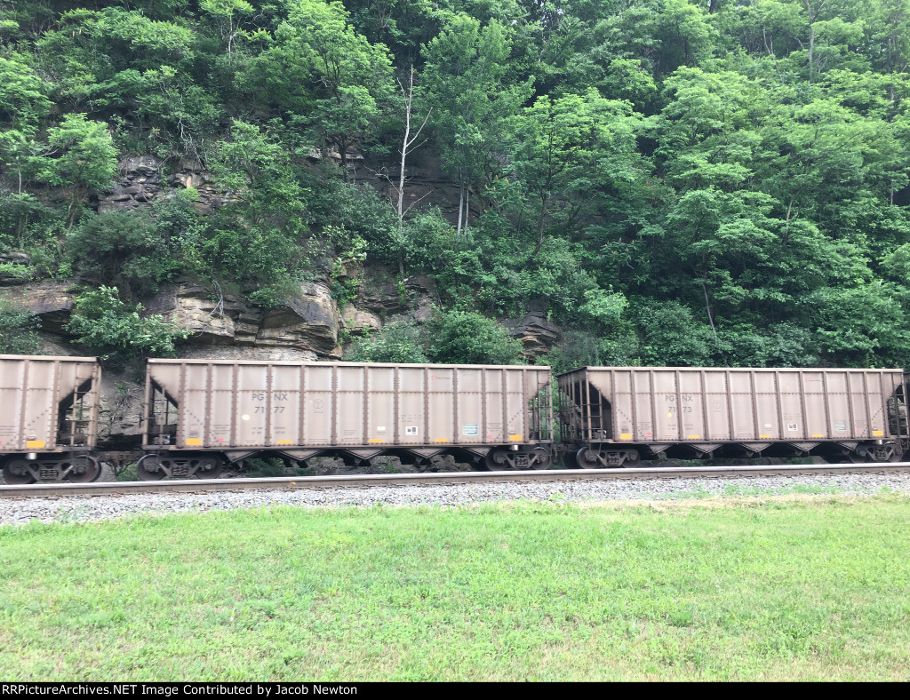 PGNX 7177, PGNX 7173