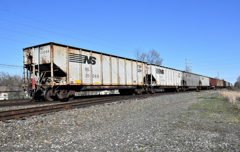 NS 20088