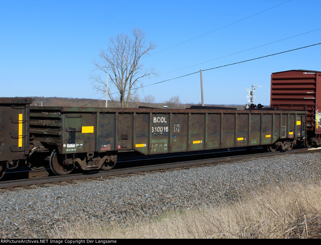 BCOL 310016