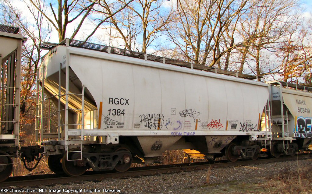 RGCX 1384
