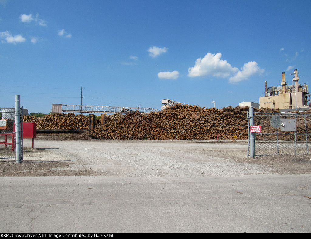 Expera Wood Pulp Plant