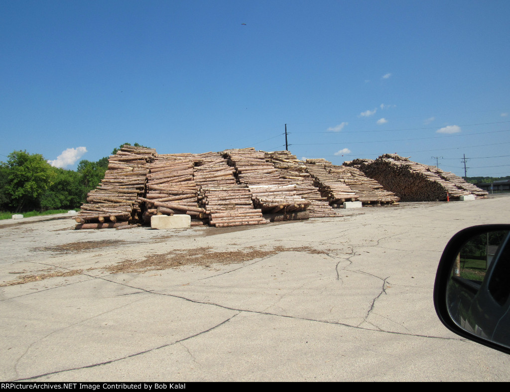 Expera Wood Pulp Plant