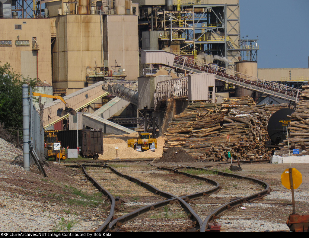 Expera Wood Pulp Plant