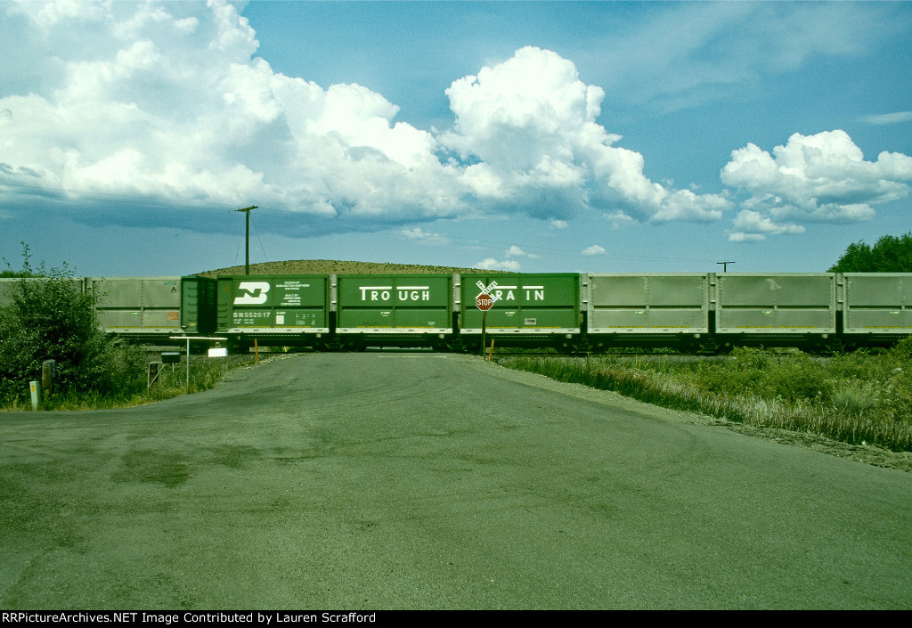 BN 552017 Trough Train