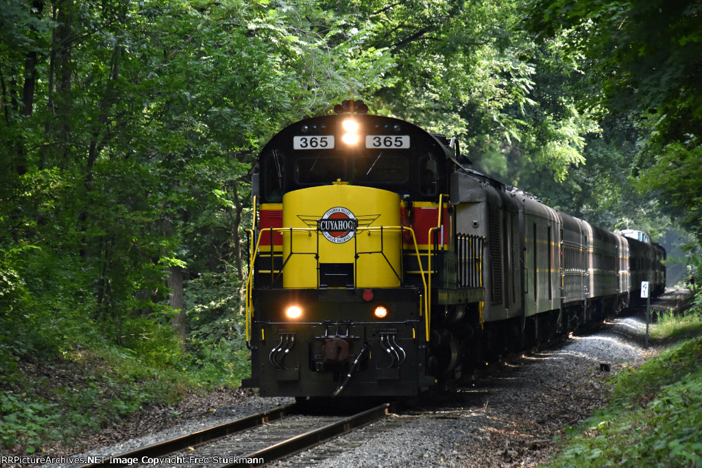 CVSR 365