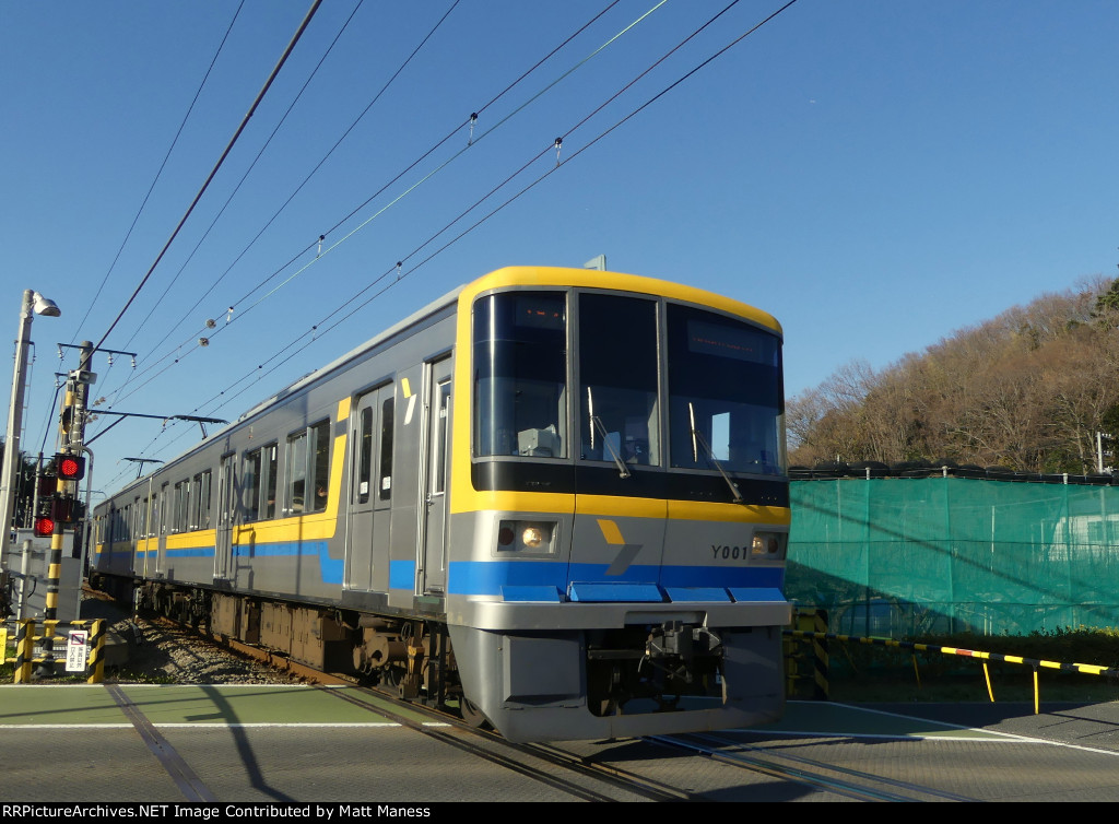 Y001 crossing the road