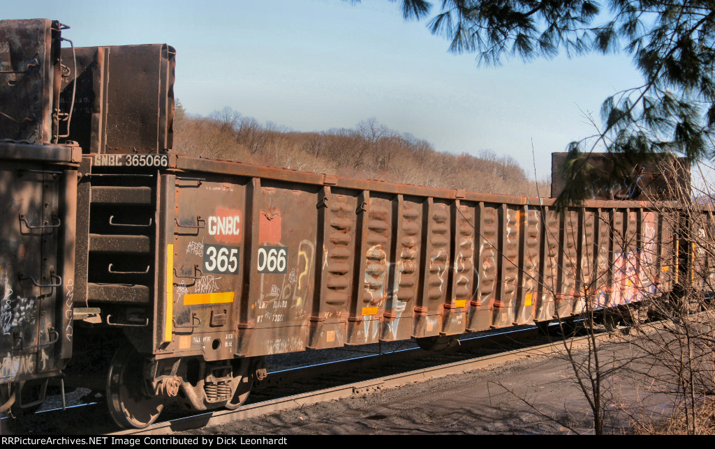 GNBC 365066