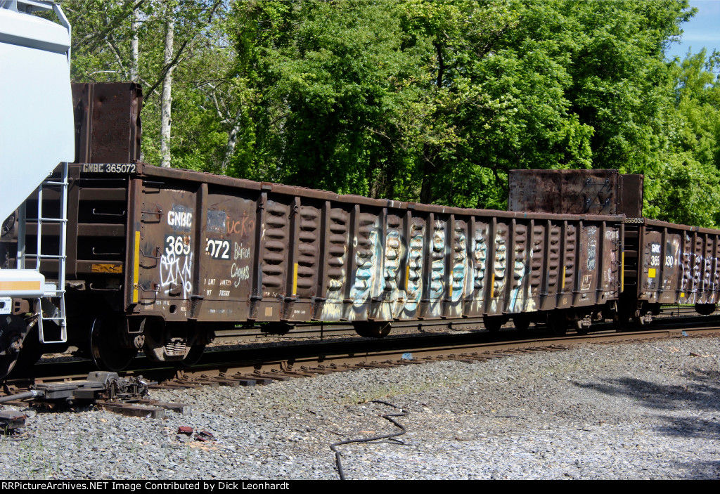 GNBC 365072