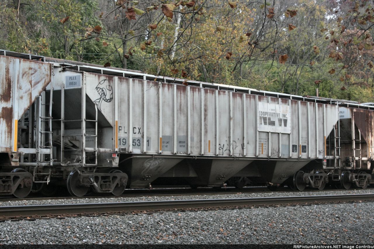 PLCX 19531