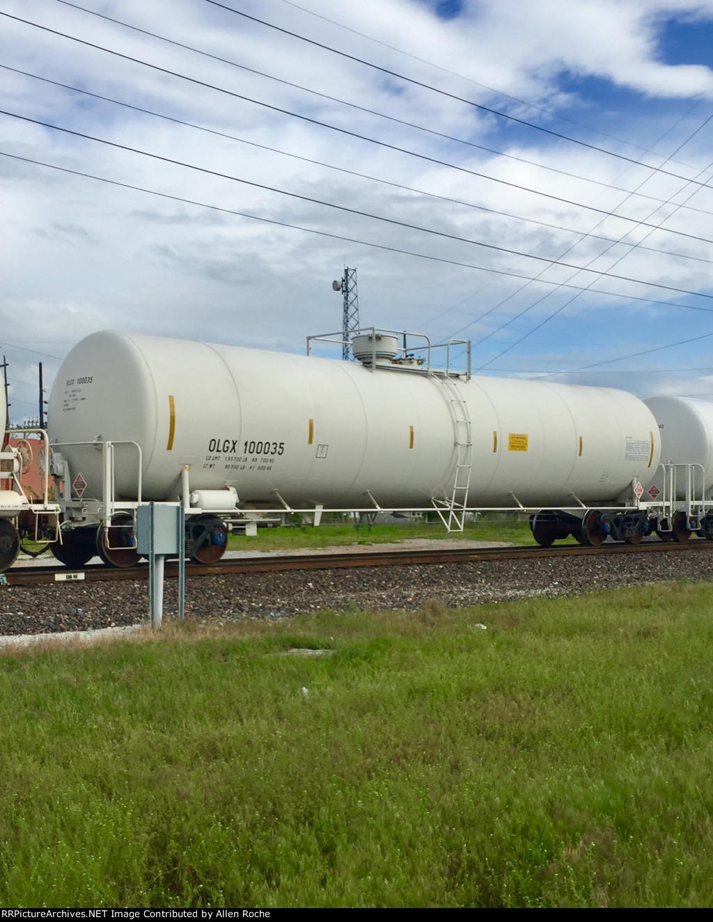 OLGX 100035