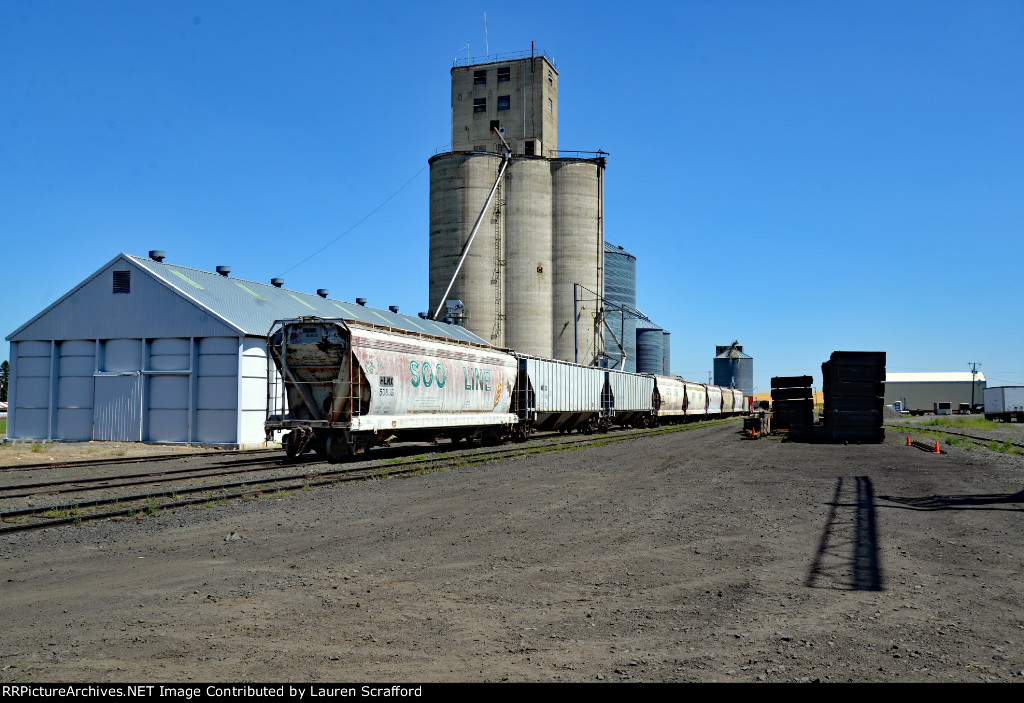 Grain Cars Ready for Loading
