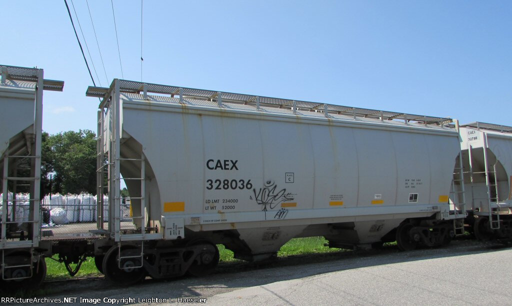CAEX 328036