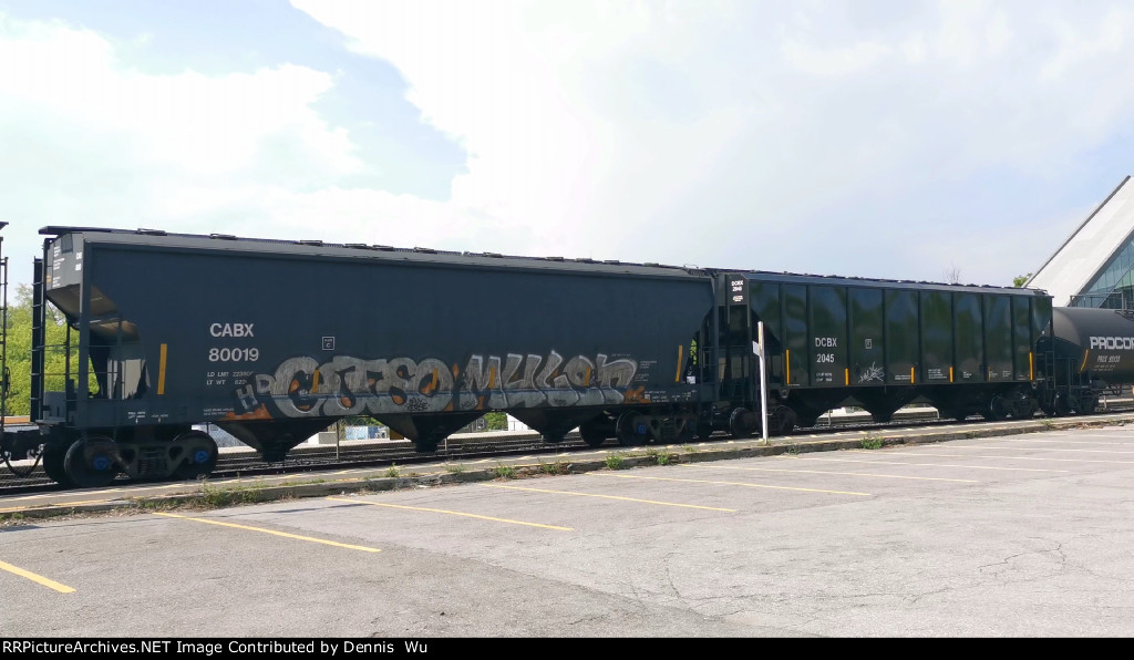 CABX 80019 and DCBX 2045